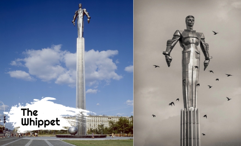 The Whippet #106: Worried taffy