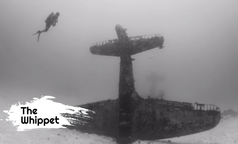 The Whippet #21: Against the Murderous, Thieving Hordes of Peasants