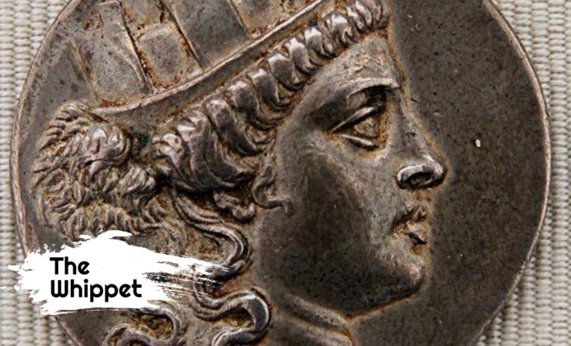 The Whippet #53: 'Keep a patch of sky above your life'