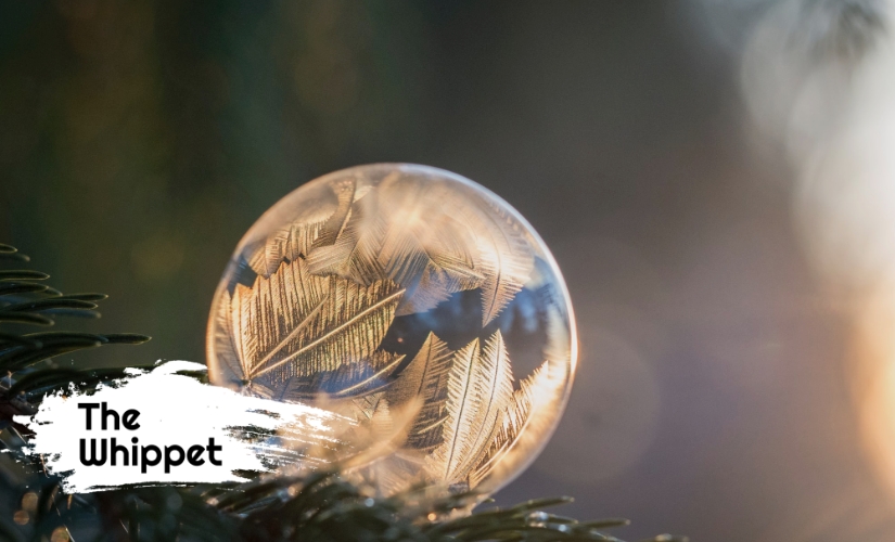 The Whippet #125: Bad case of Solstice Throat