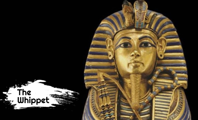 The Whippet #115: More crowns, please 🖐 🖐