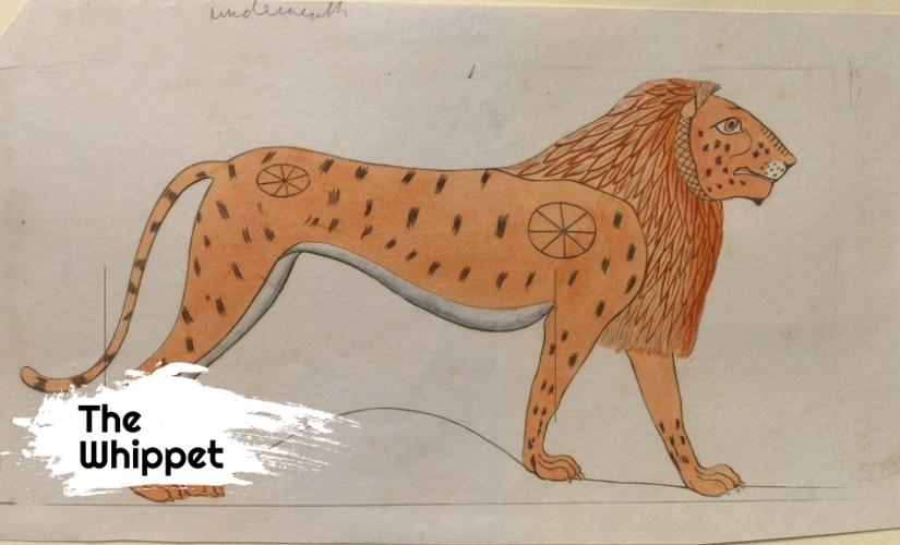 The Whippet #108: The egg-collecting underground