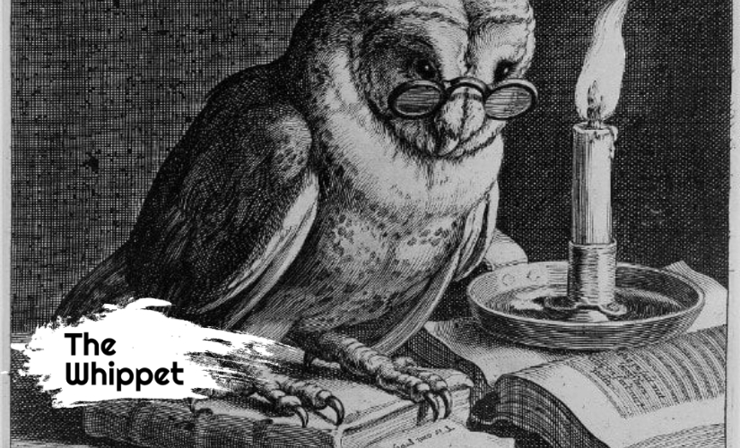 The Whippet #52: A painting in the right loungeroom