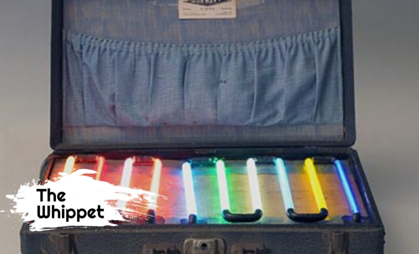 The Whippet #24: Virtually indistinguishable from the surrounding terrain