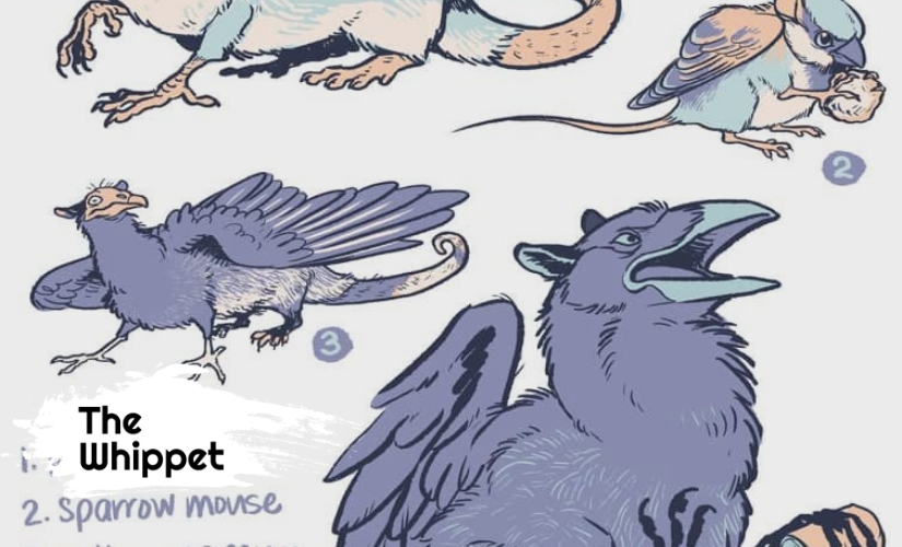 The Whippet #63: The Cut Sublime