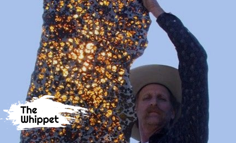 The Whippet #36: There is love even in the smallest of things