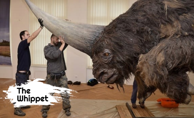 The Whippet #60: Riverbank justice