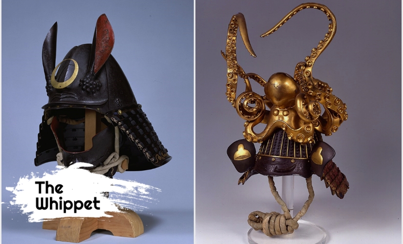 The Whippet #139: Heads or tentacles?