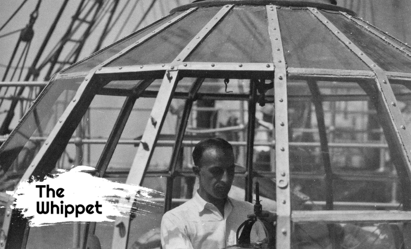 The Whippet #142: Experiments performed on a cosmical scale