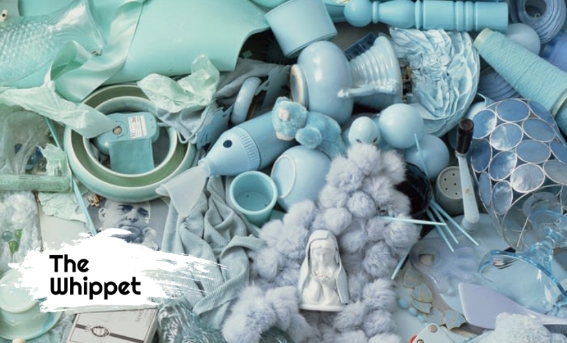 The Whippet #77: Any other edible being