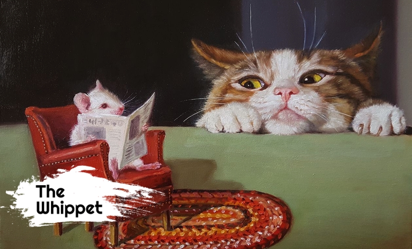 The Whippet #131: How to pick up and hold dozens of animals