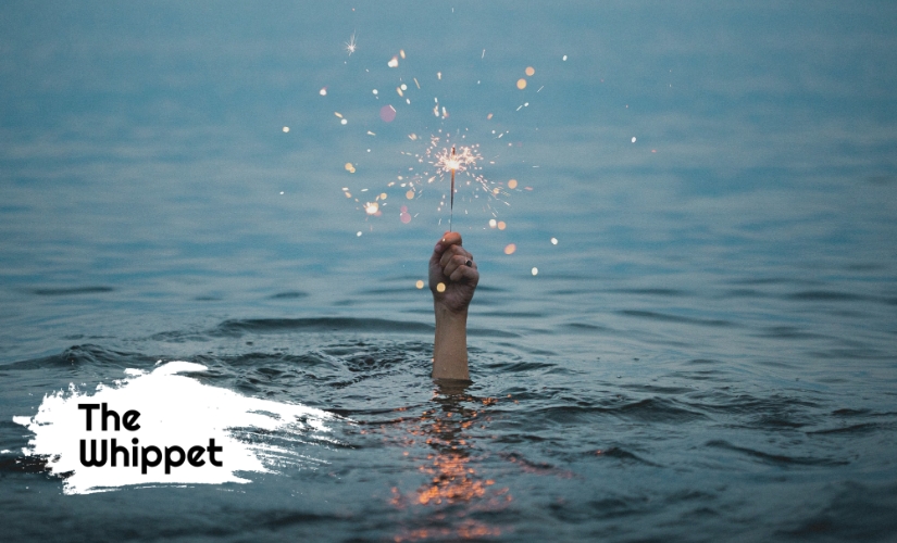 Whippet Cetera: Two ways to think about hope