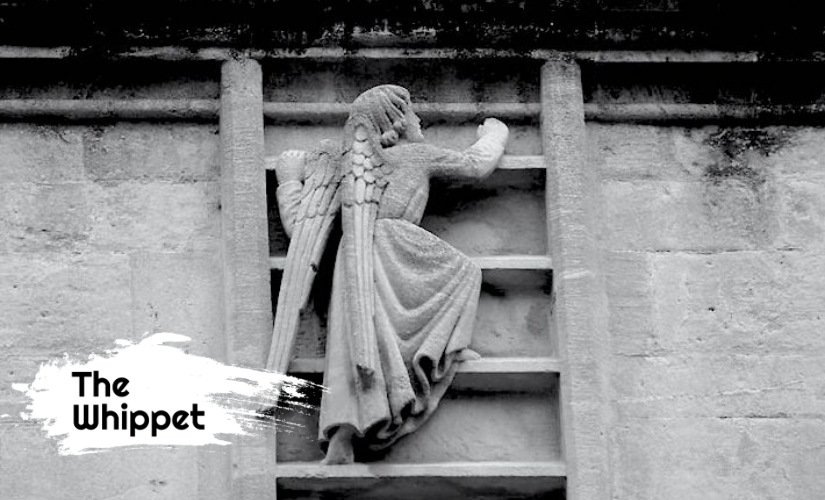 The Whippet #100: Cease and desist, null and void, macaroni and cheese