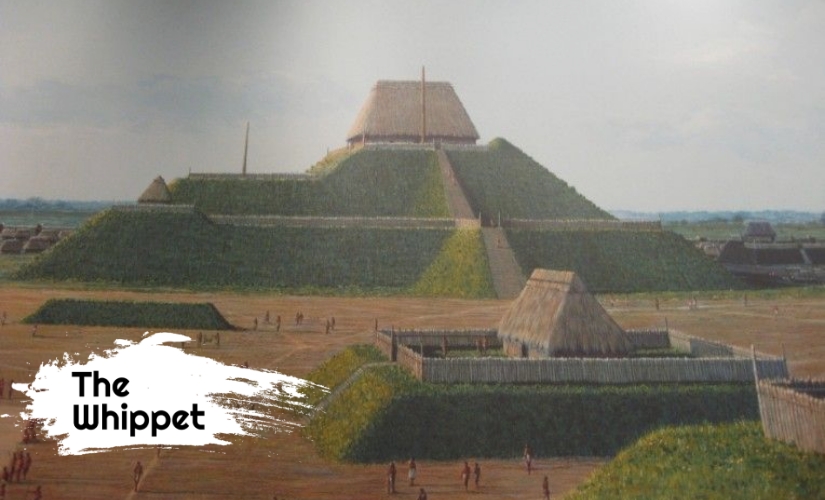 The Whippet #38: The Library of Discarded Books