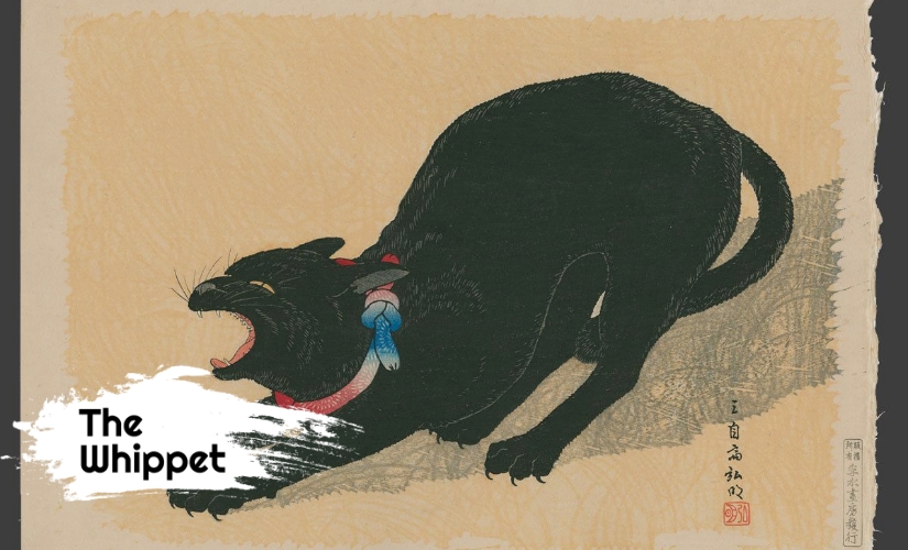 The Whippet #130: I wish to express my joy of the cat