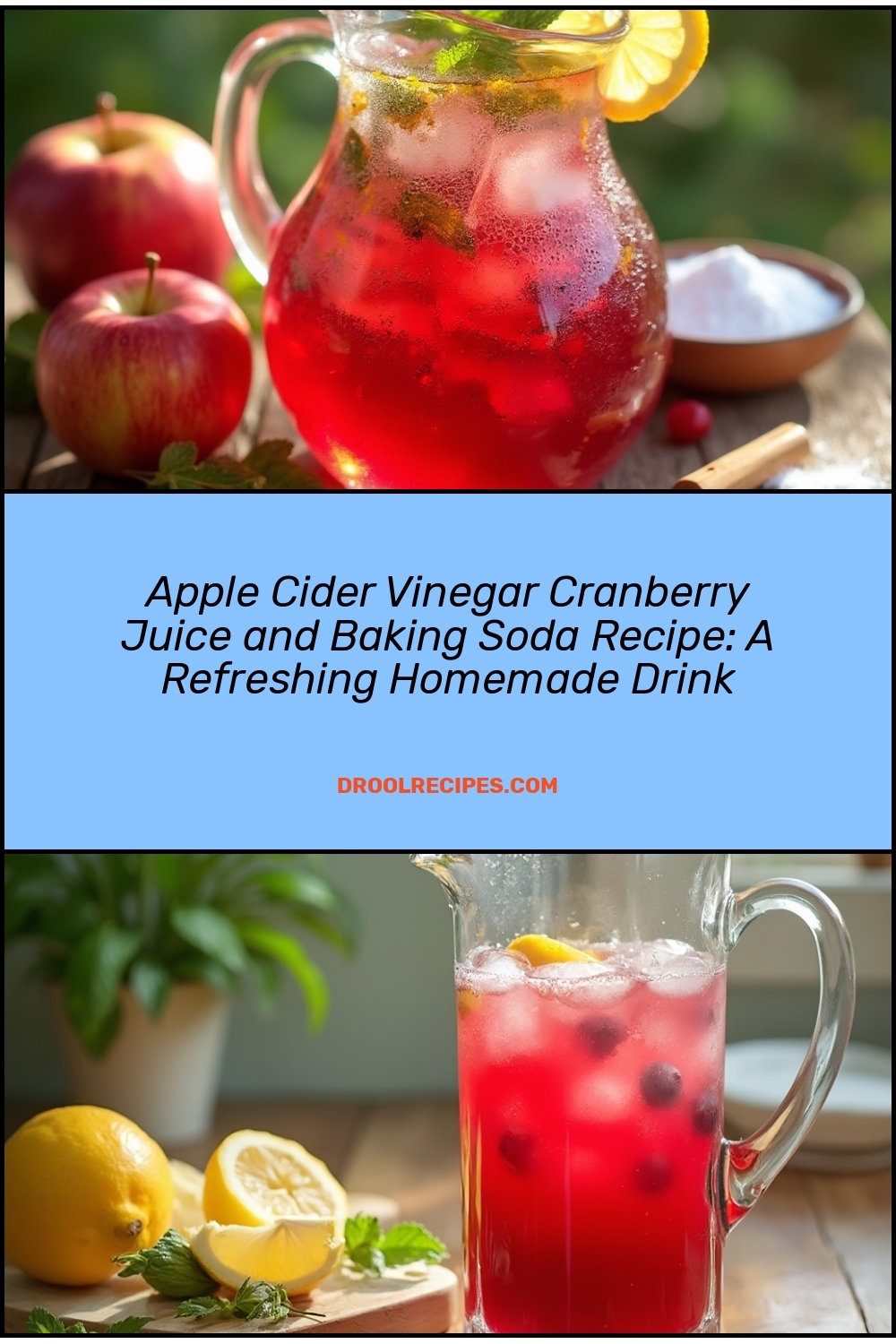 Apple Cider Vinegar Cranberry Juice and Baking Soda Recipe: A Refreshing Homemade Drink - Drool ...