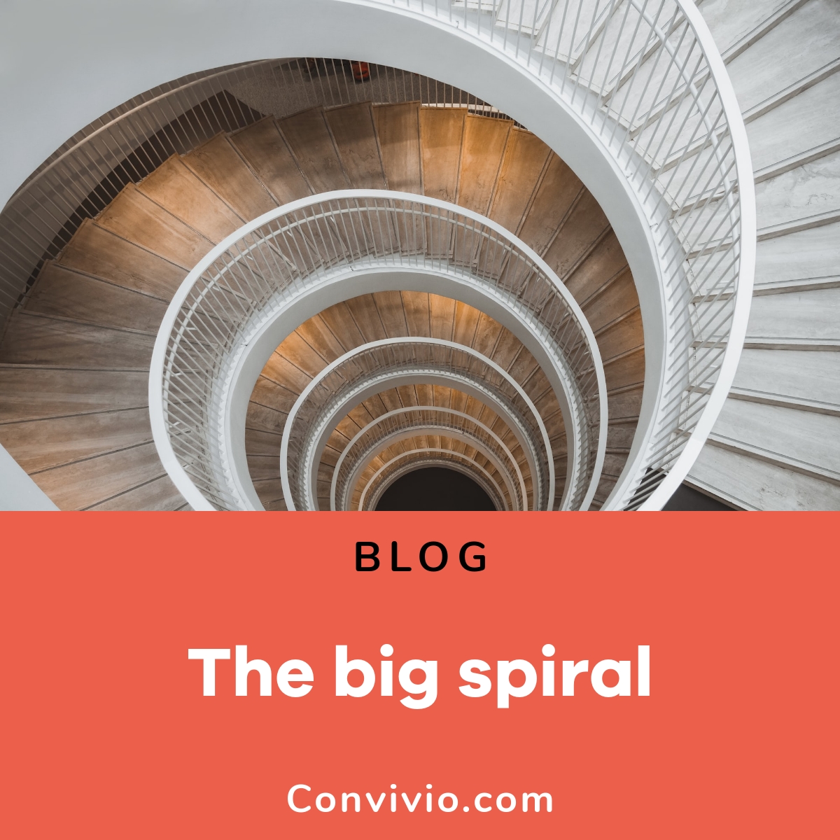 The big spiral | Convivio