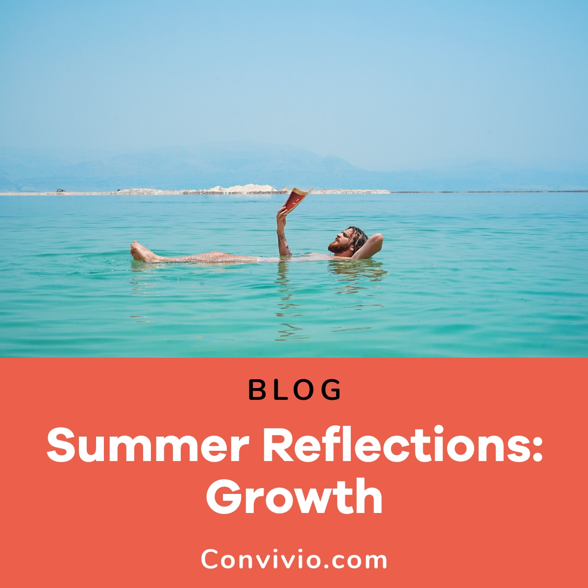 Summer Reflections: Growth | Convivio